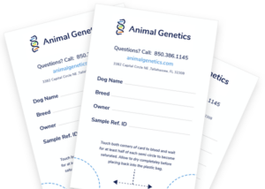 Canine Sample Collection - Animal Genetics