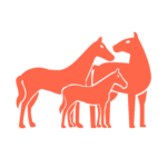 Horse Coat Color Calculator - Animal Genetics
