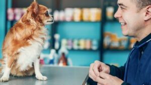 Canine Services - Animal Genetics